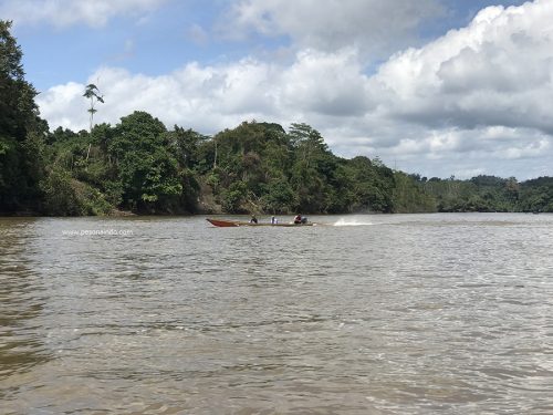 Sungai Mahakam Terbesar di Kalimantan Timur | Pesona Indonesia